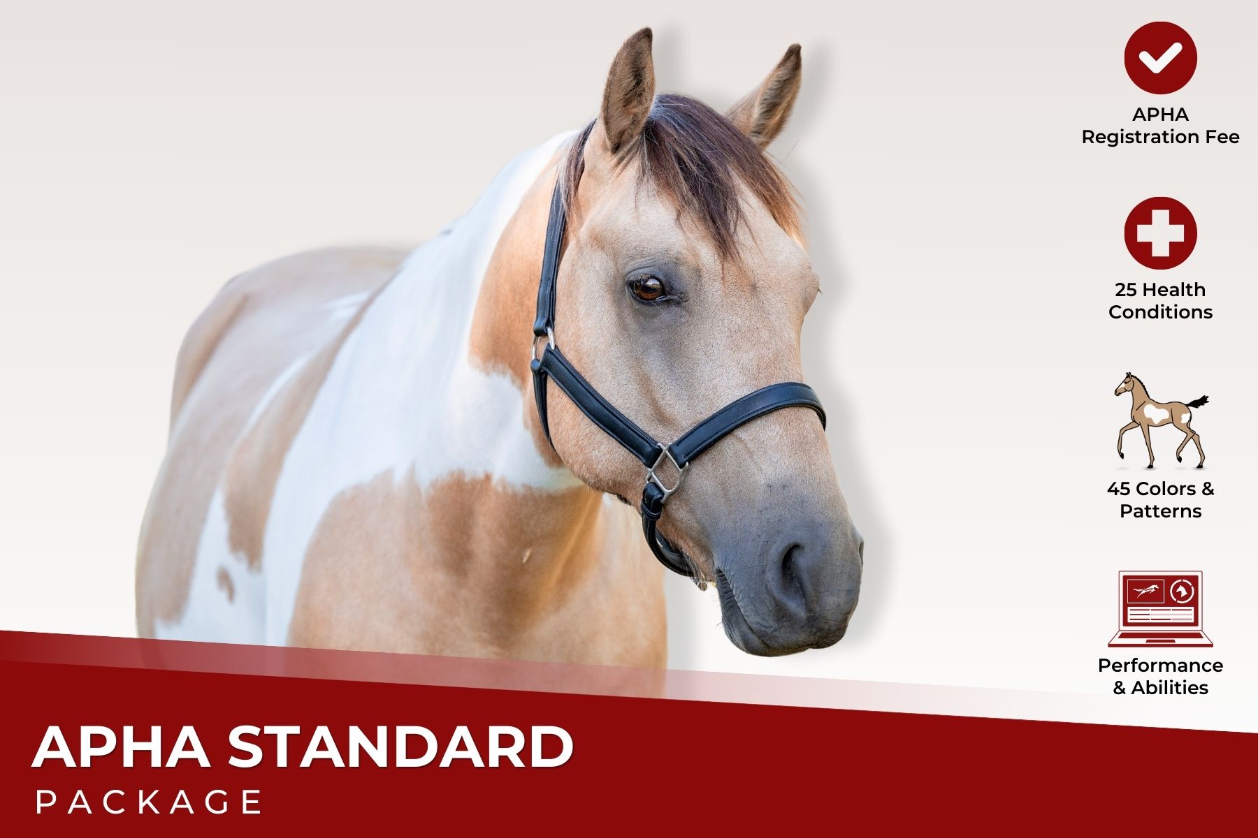APHA Standard Package