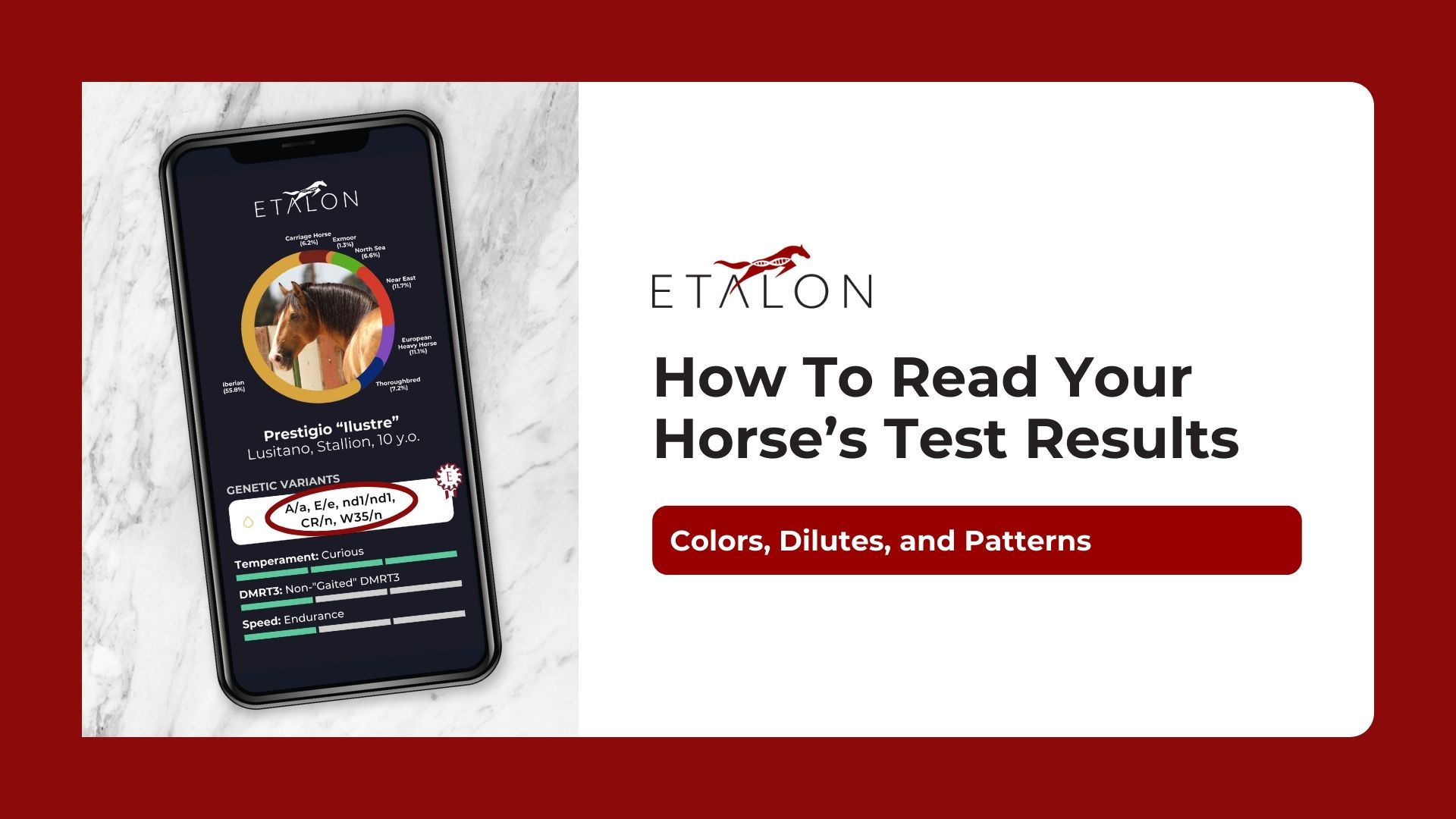 How To Read Your Horse's Test Results: Colors, Dilutes, and Patterns ...